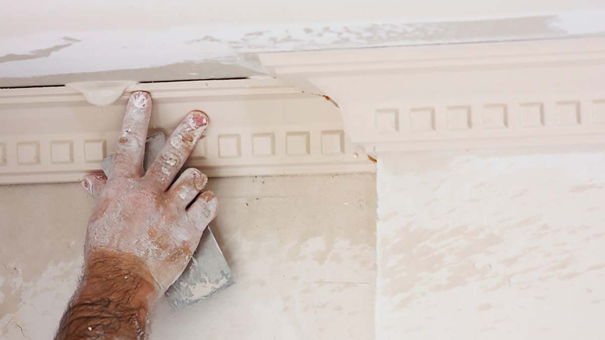 Capital Cornice Edinburgh | Plasterwork & Cornice Specialists